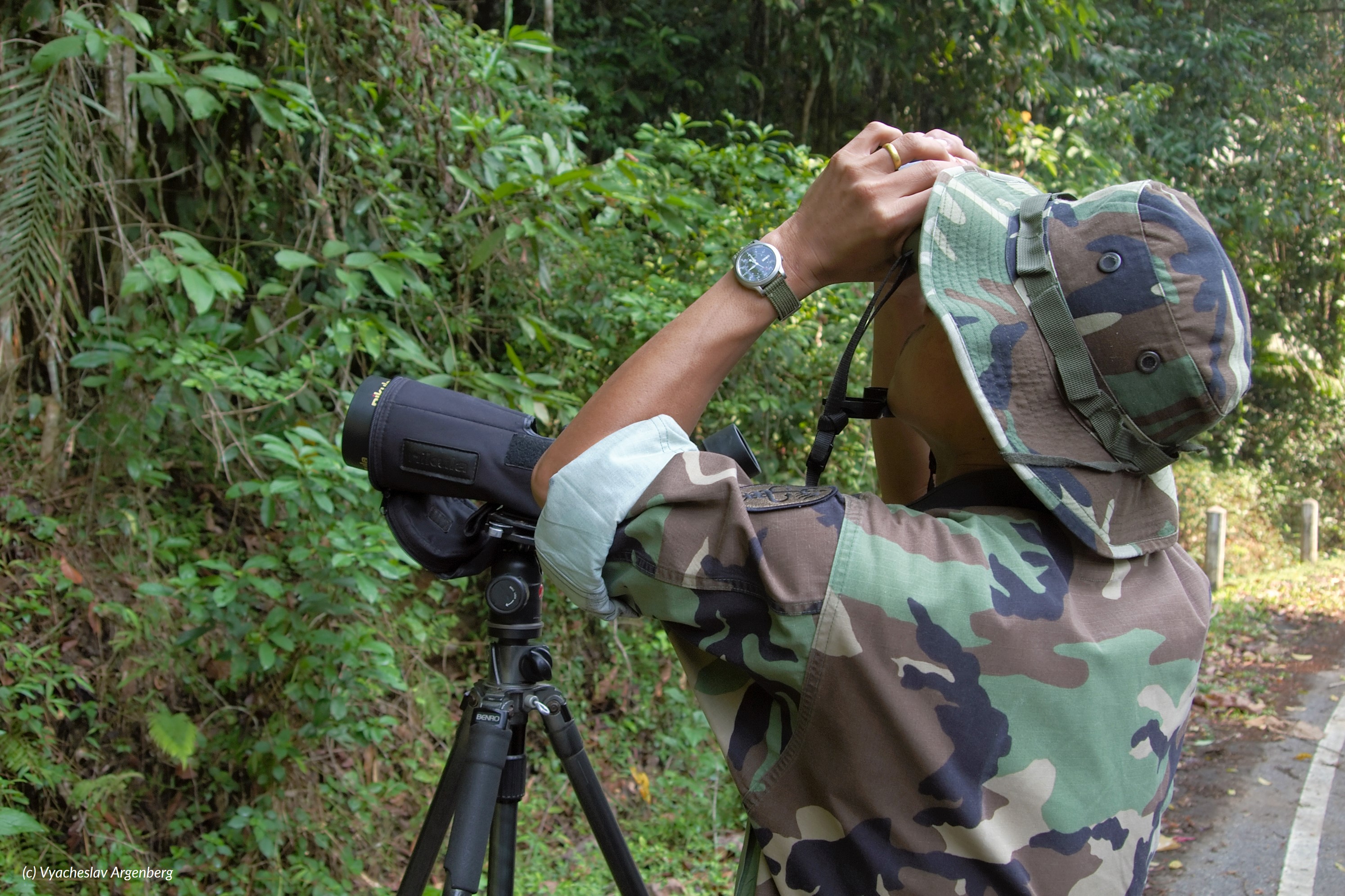 Celebrating World Ranger Day And The Legacy Of Service | Environmental ...