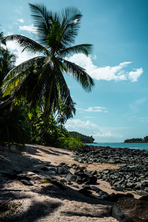 Guyana | Environmental Inclusion