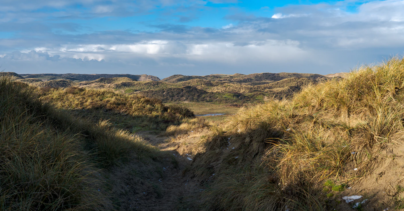 Netherlands | Environmental Inclusion