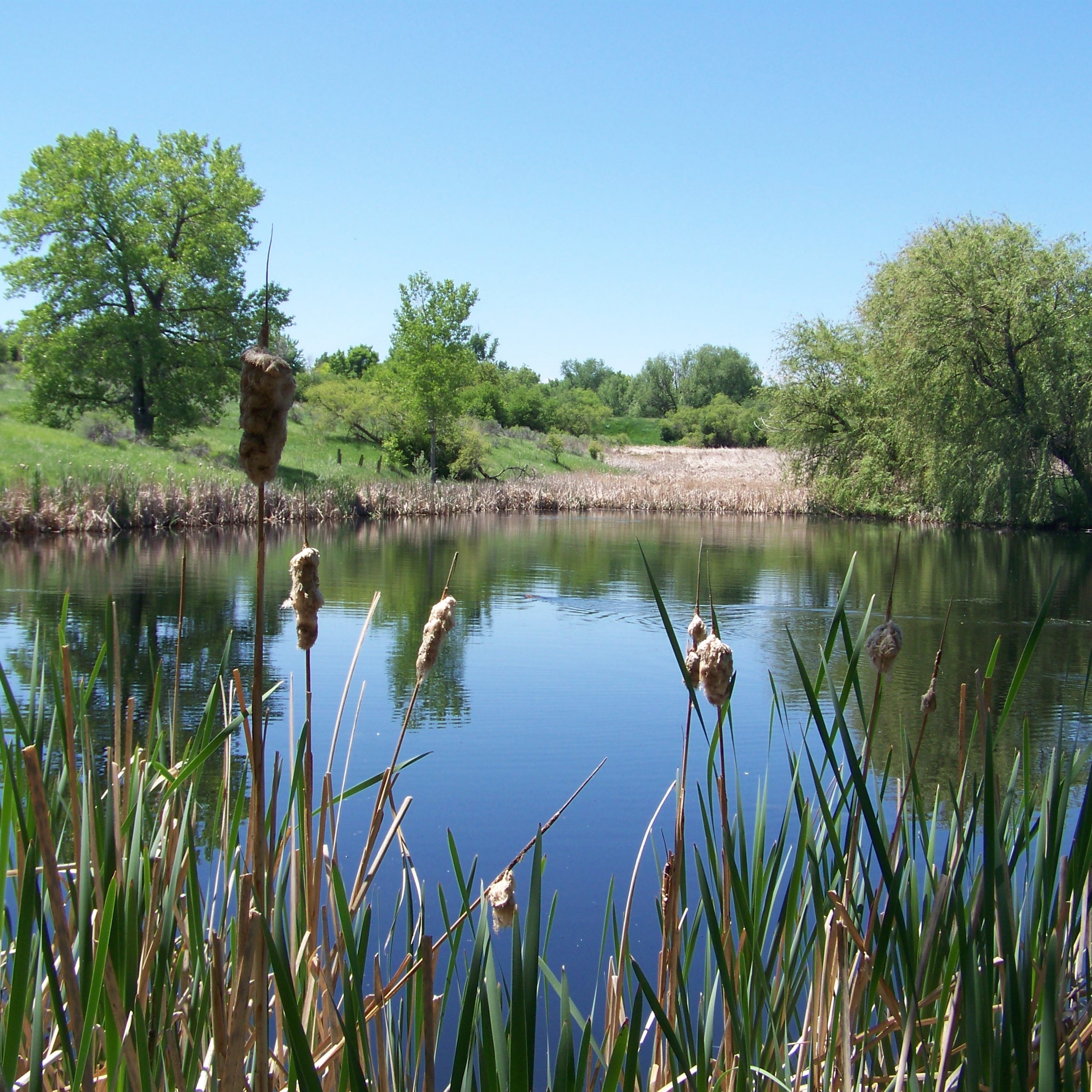 Two Ponds National Wildlife Refuge